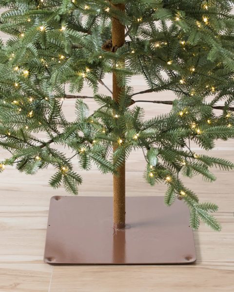 Alpine Fir® Tree - Grow Xmas Trees