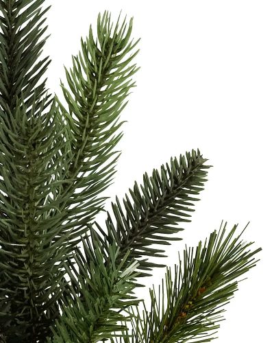 California Baby Redwood® Flip Tree® - Grow Xmas Trees