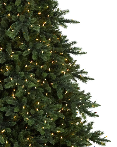 California Baby Redwood® Tree - Grow Xmas Trees