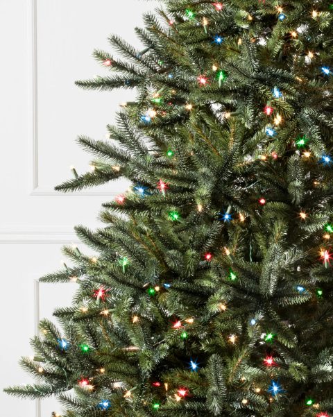California Baby Redwood® Flip Tree® - Grow Xmas Trees