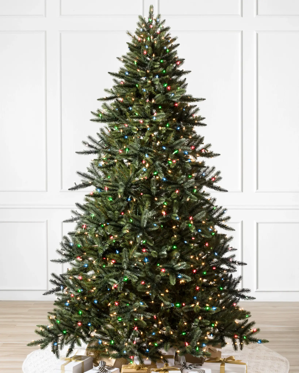 California Baby Redwood® Tree - Grow Xmas Trees