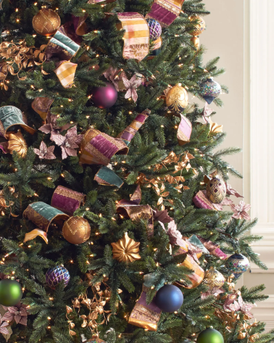 California Baby Redwood® Tree - Grow Xmas Trees