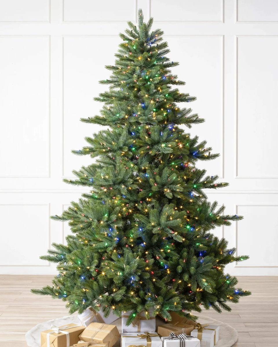 Biltmore® Spruce - Grow Xmas Trees