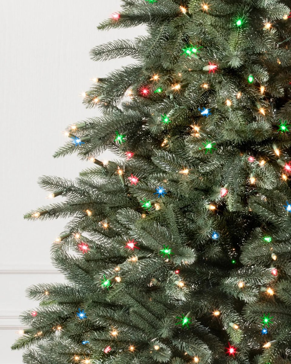 Aspen Estate Fir® Flip Tree® - Grow Xmas Trees