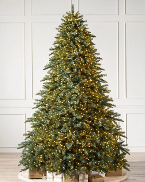 Aspen Estate Fir® Flip Tree® - Grow Xmas Trees