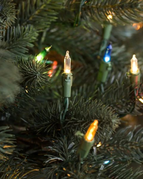 Aspen Estate Fir® Flip Tree® - Grow Xmas Trees