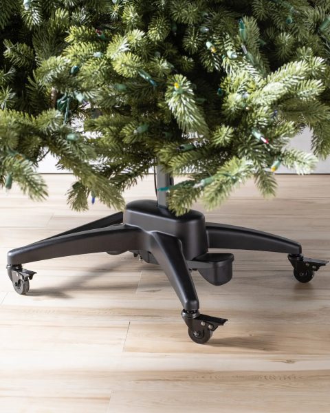 California Baby Redwood® Flip Tree® - Grow Xmas Trees
