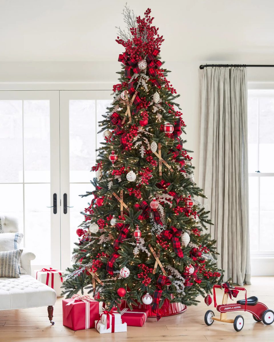 California Baby Redwood® Flip Tree® - Grow Xmas Trees