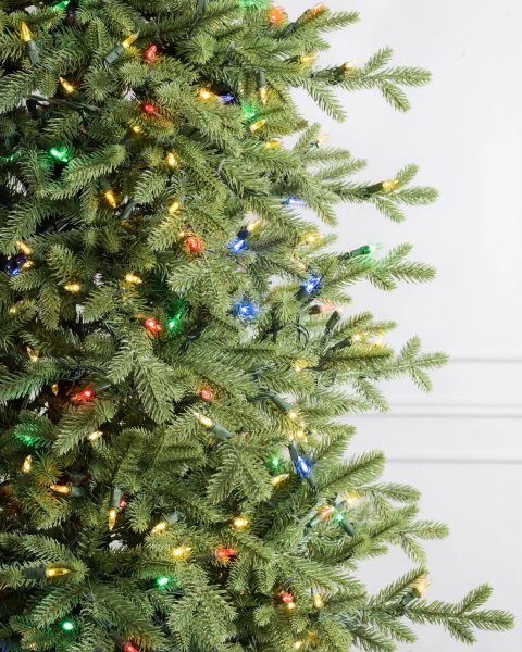 Red Spruce Slim® - Grow Xmas Trees