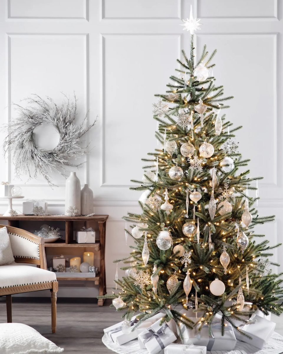 Sanibel Spruce® Tree - Grow Xmas Trees