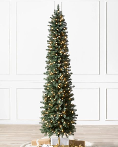 Sonoma Slim® Pencil Tree - Grow Xmas Trees
