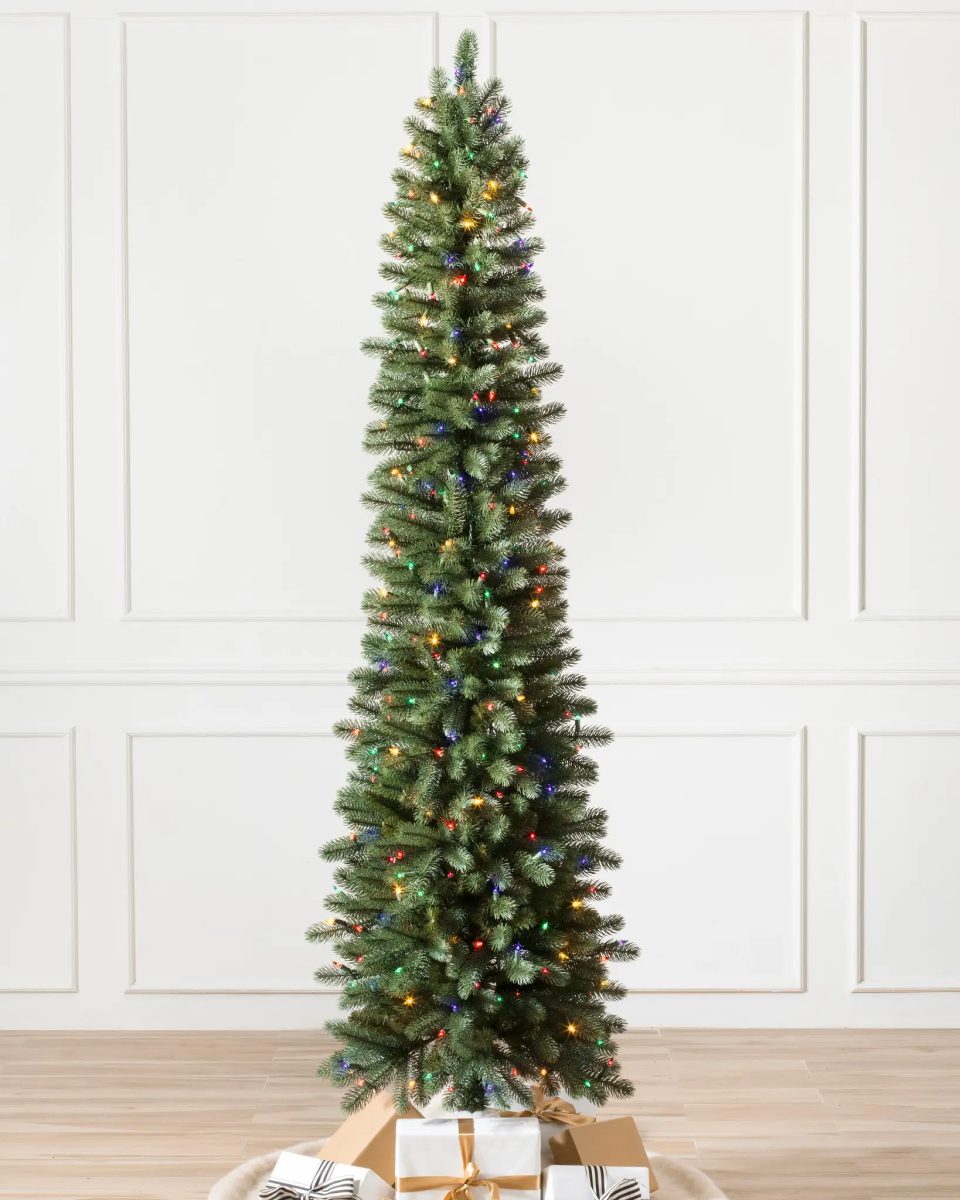 Sonoma Slim® Pencil Tree - Grow Xmas Trees