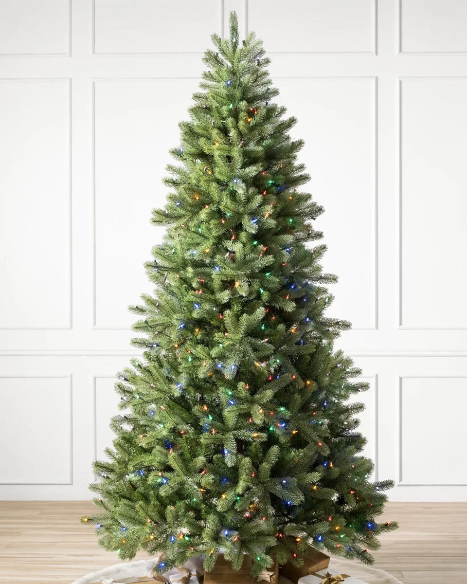 Woodland Spruce™ - Grow Xmas Trees