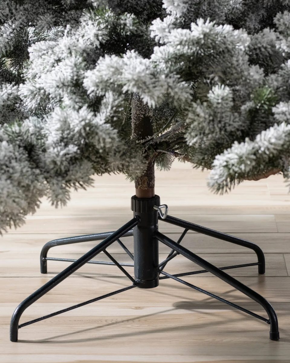 Frosted Yukon Spruce® - Grow Xmas Trees