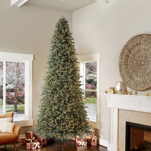 Home - Grow Xmas Trees